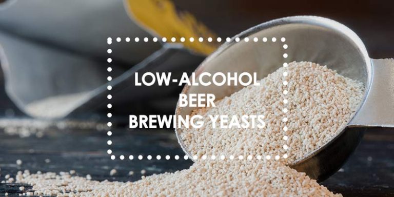 How to Choose Non Alcoholic & Low Alcohol Beer Brewing Yeasts ...